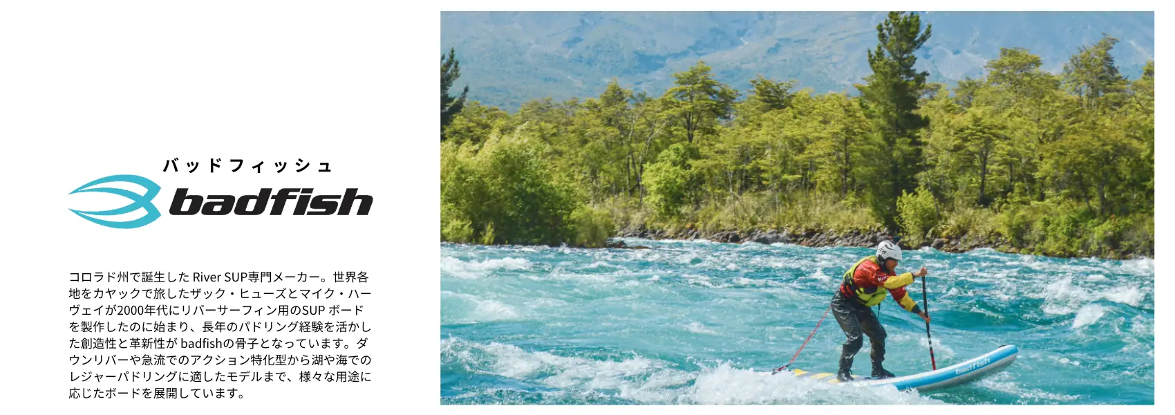 バッドフィッシュ │ スター商事オンラインショップ │ ONLINE SHOP